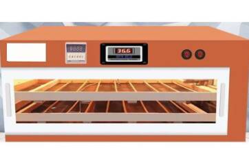 Mesin Penetas Telur Ayam: Solusi Efisien untuk Penetasan Telur - Beternak Dirumah